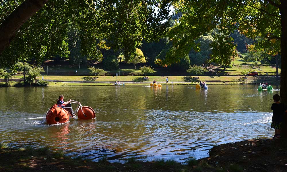 Cardinia Shire Council uses Activity Based Working